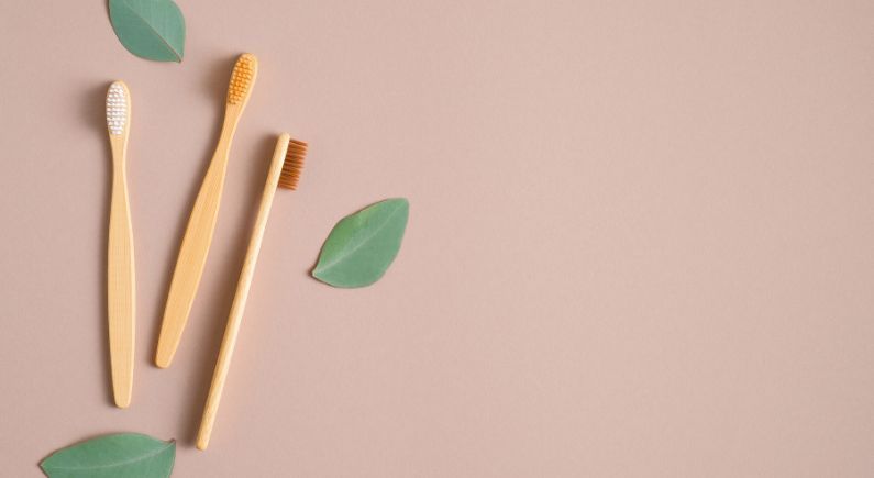 Biodegradability - How does it work?