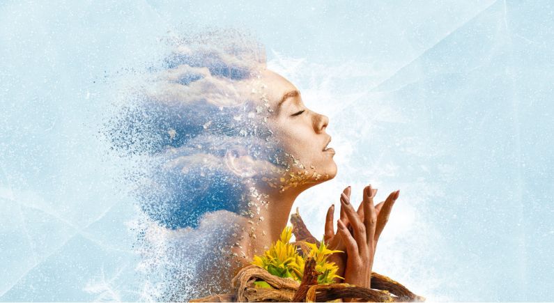 What is an holobiont and how cosmetics are helping it?